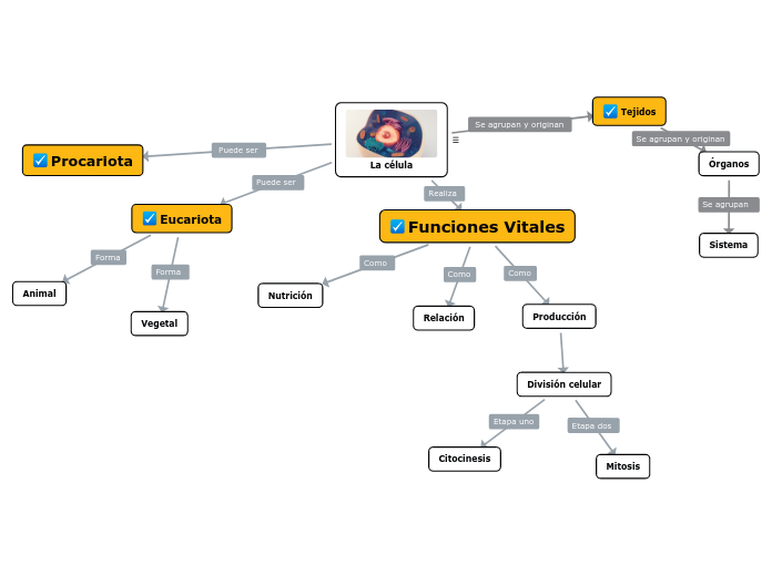 La célula - Mind Map
